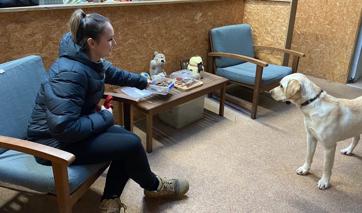 Important Information - Alpha Boarding School for Dogs